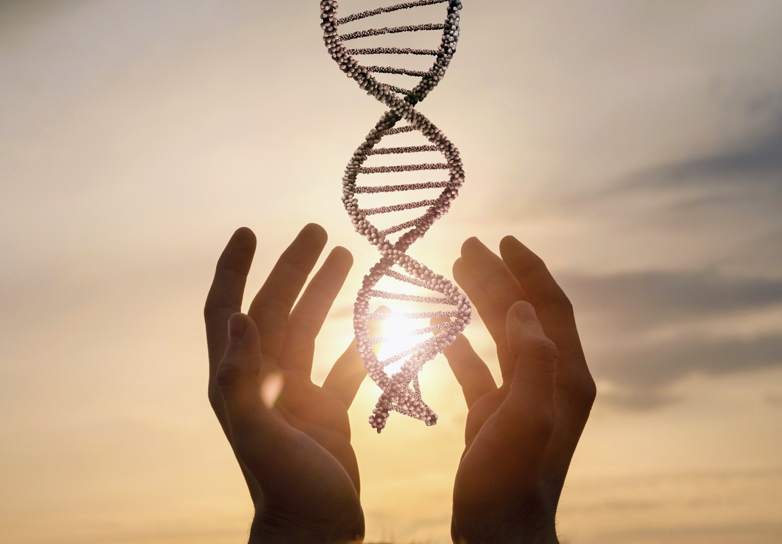 DNA uses multiple ultrafast tricks to protect itself from sunlight ...