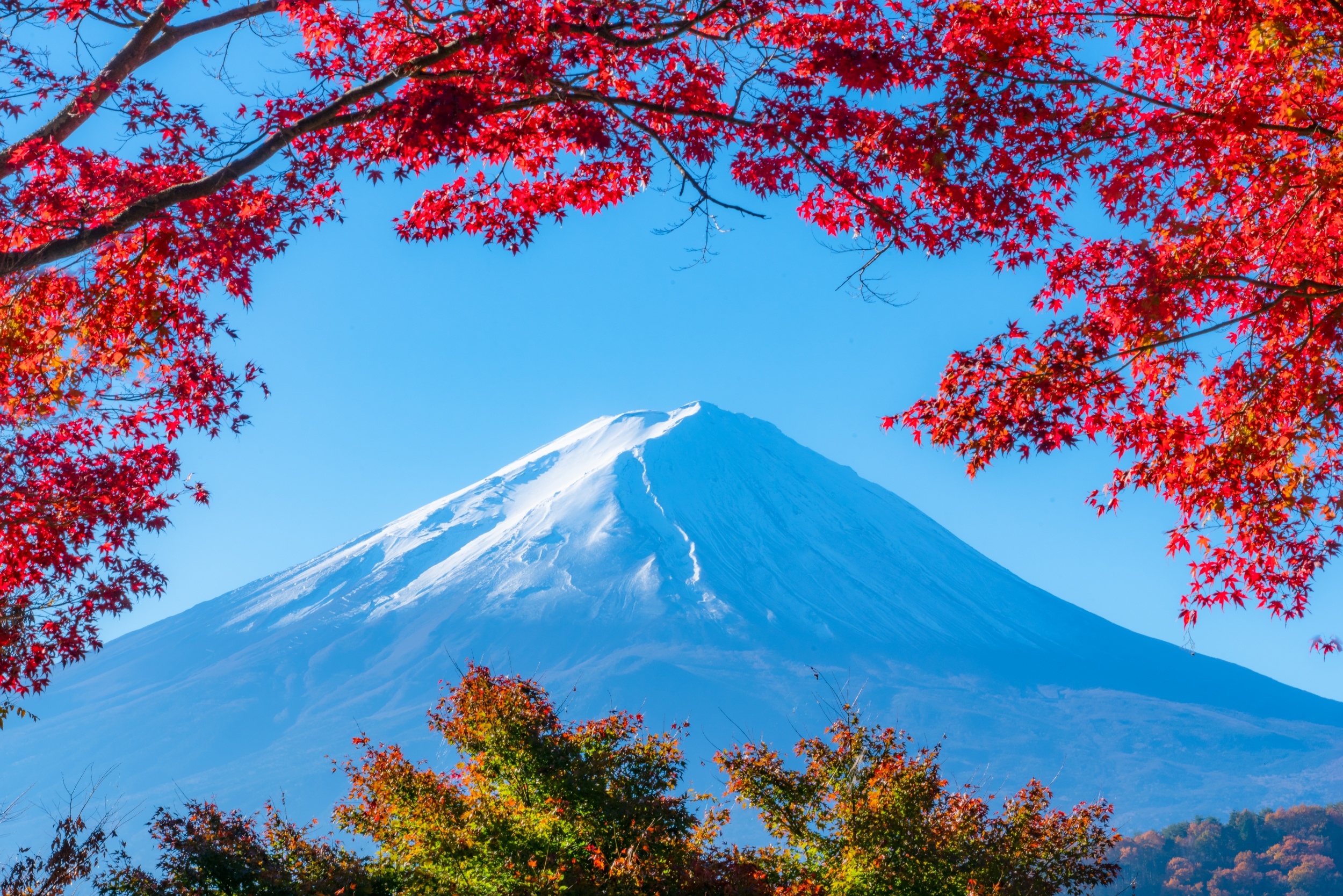 Mount Fuji rises during heavy rain - and now we know why - Earth.com