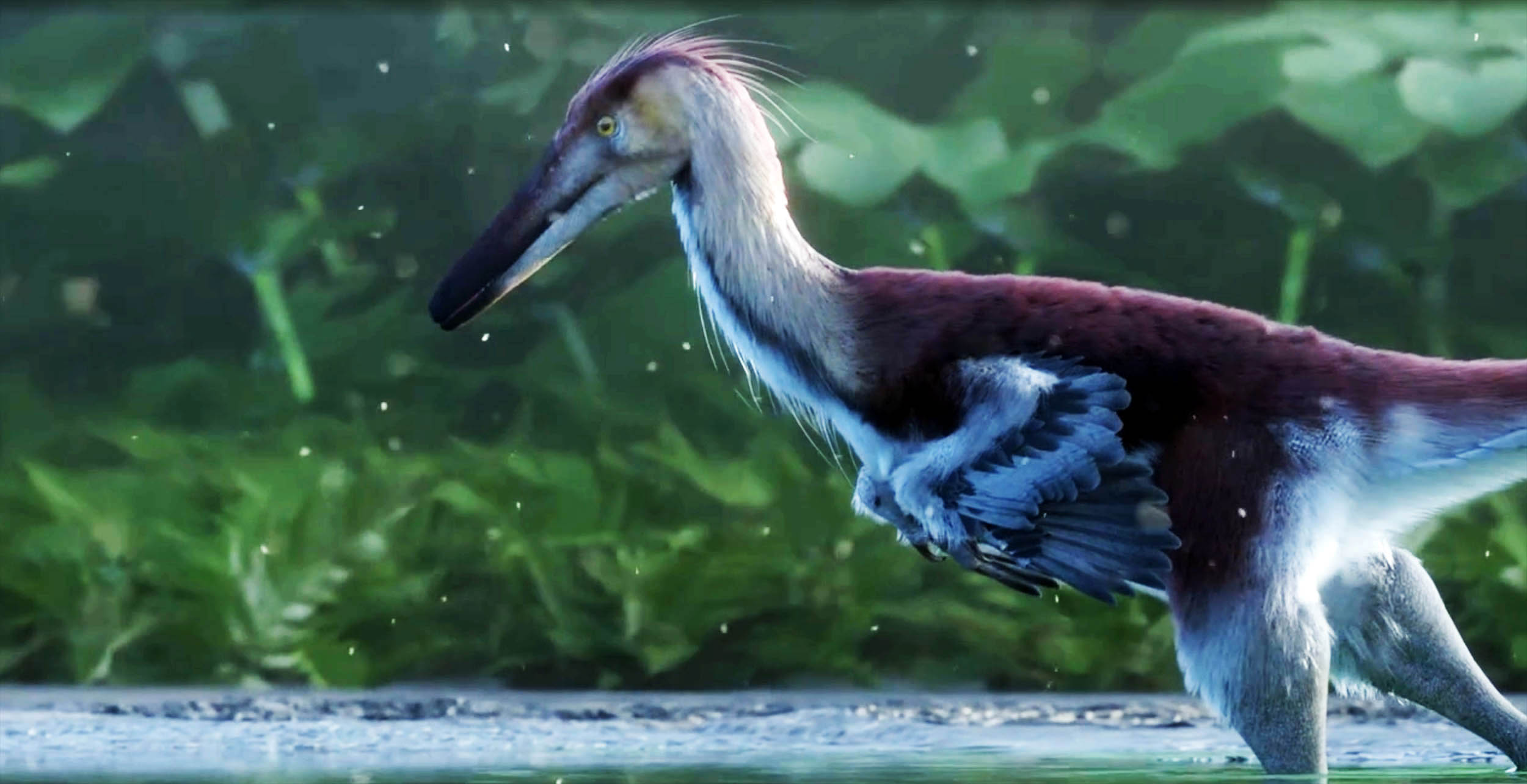 New raptor-like dinosaur ate fish and behaved like modern herons over ...