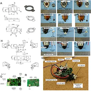 AI system works with internal body signals to guide cyborg insects ...