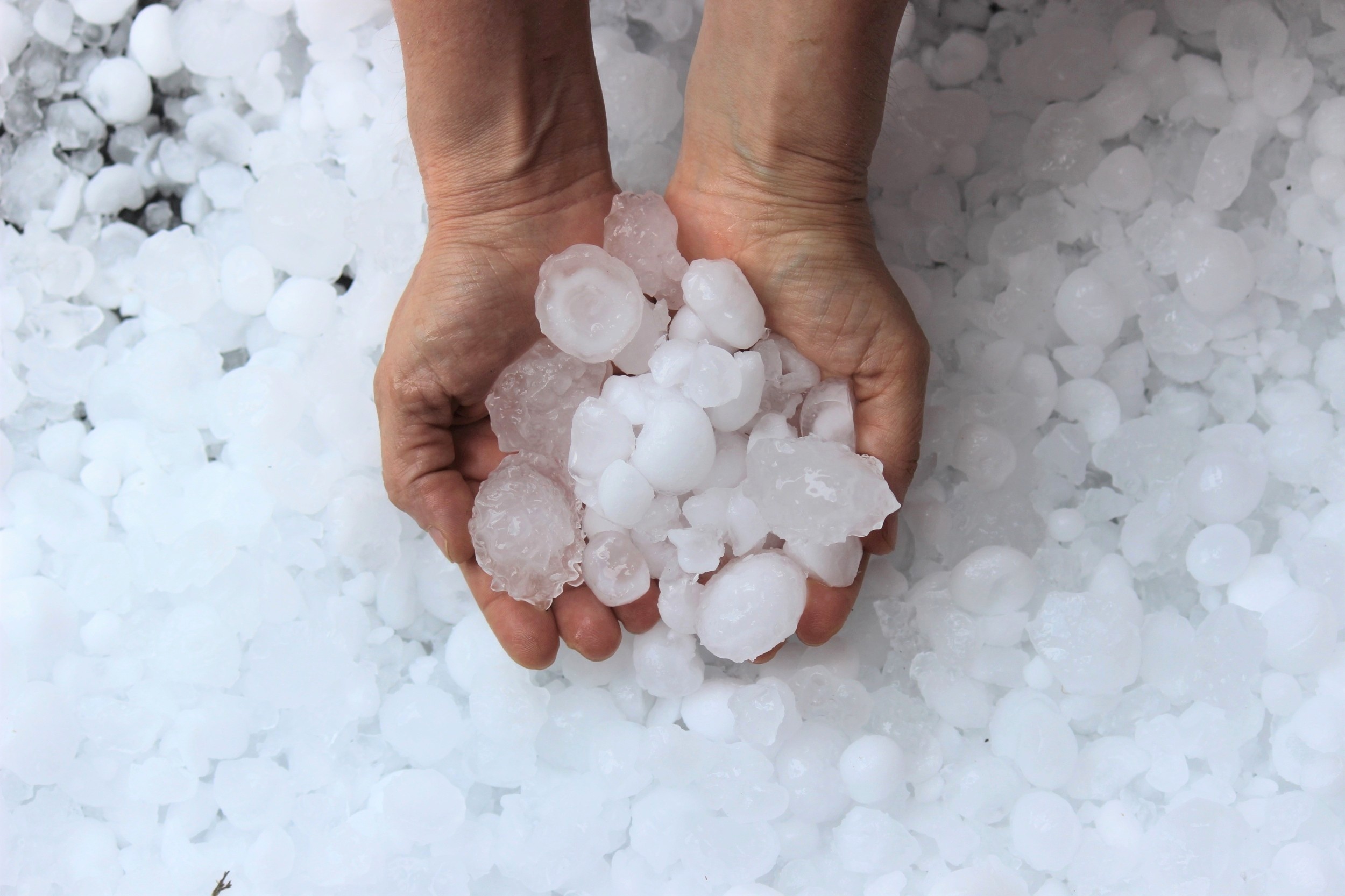 Hail risk is shifting toward major farming regions - Earth.com