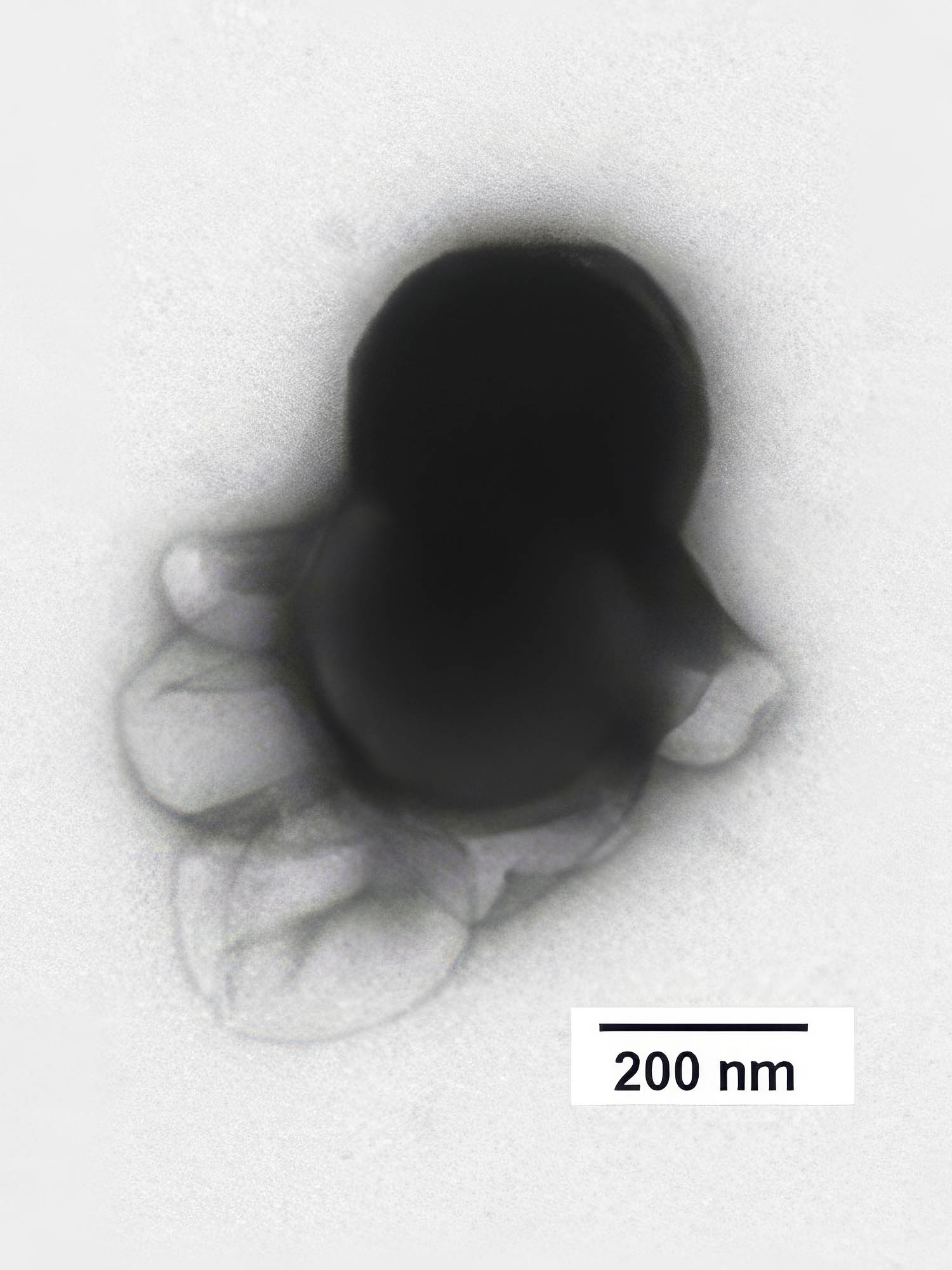 Reusable nanorobot resembles a lunar rocket with a propulsion module ...