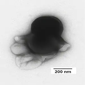 Reusable nanorobot resembles a lunar rocket with a propulsion module ...